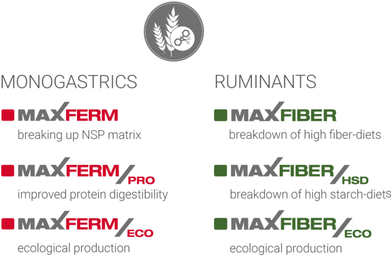 SSF Products - Provita Supplements - Bonsilage